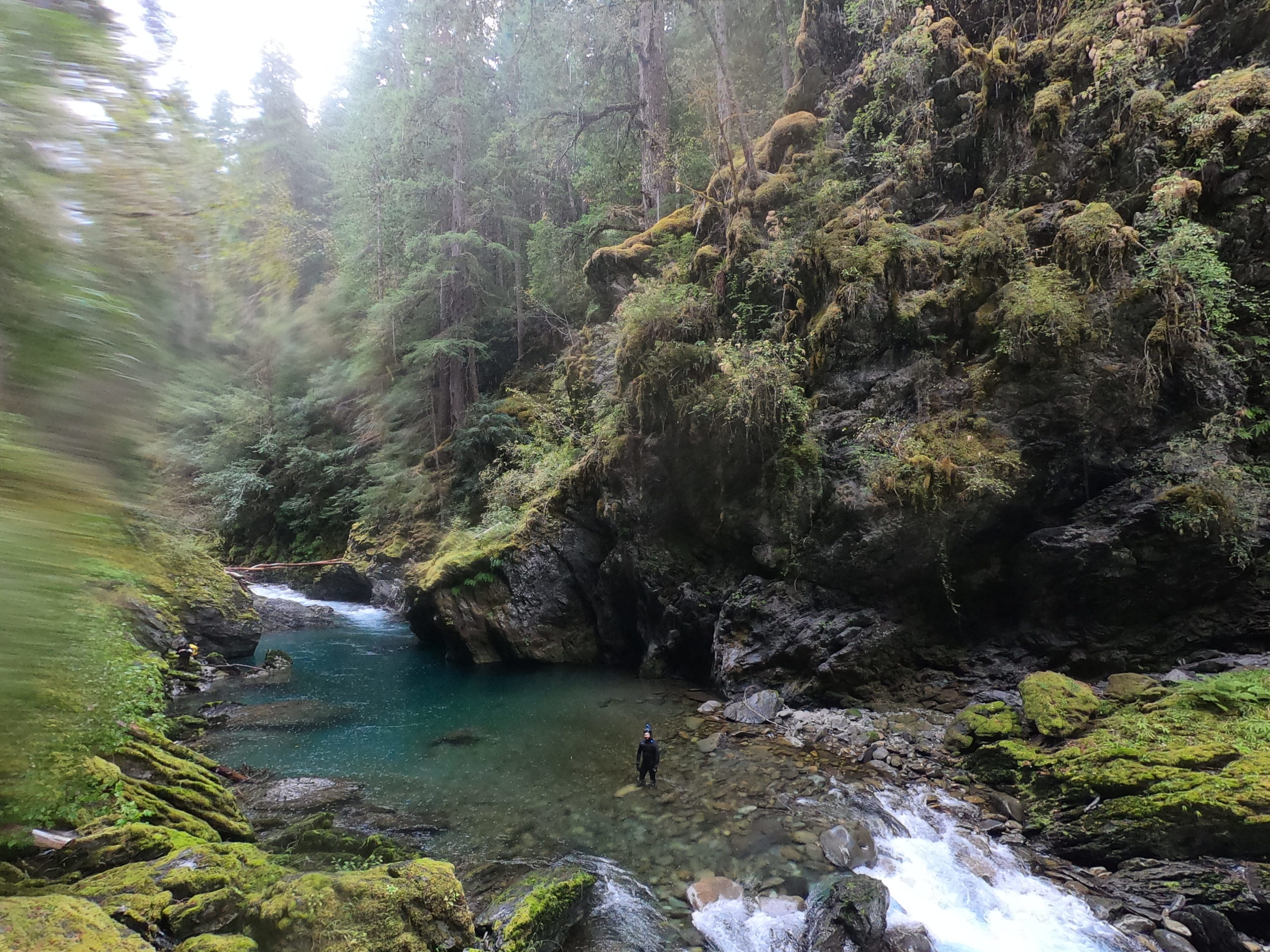 Rising from the Ashes | Wild Steelheaders United