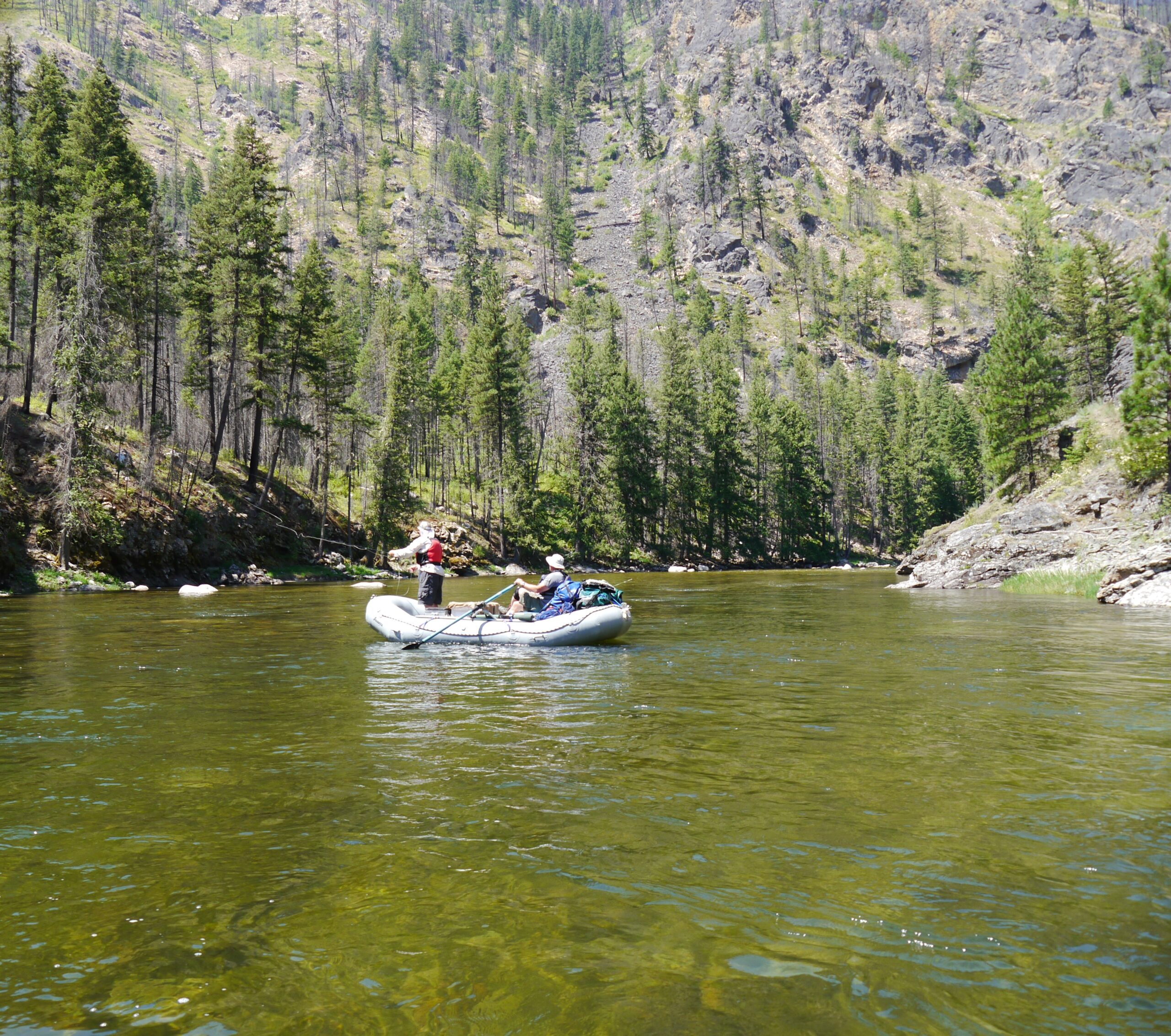 The Perfect Honeymoon Suite for Wild Steelhead | Wild Steelheaders United