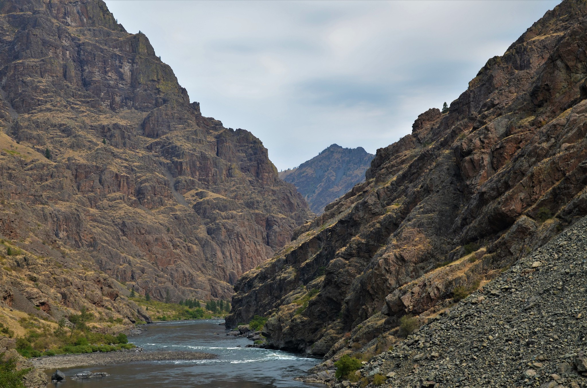 Four Northwest Governors Commit to Action for Columbia Basin Steelhead ...