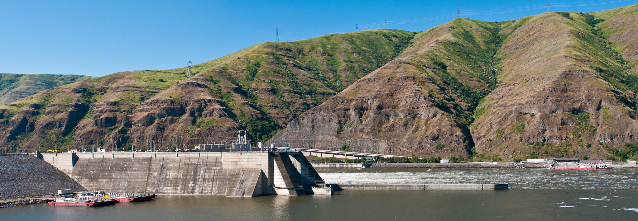 Four Northwest Governors Commit to Action for Columbia Basin Steelhead ...