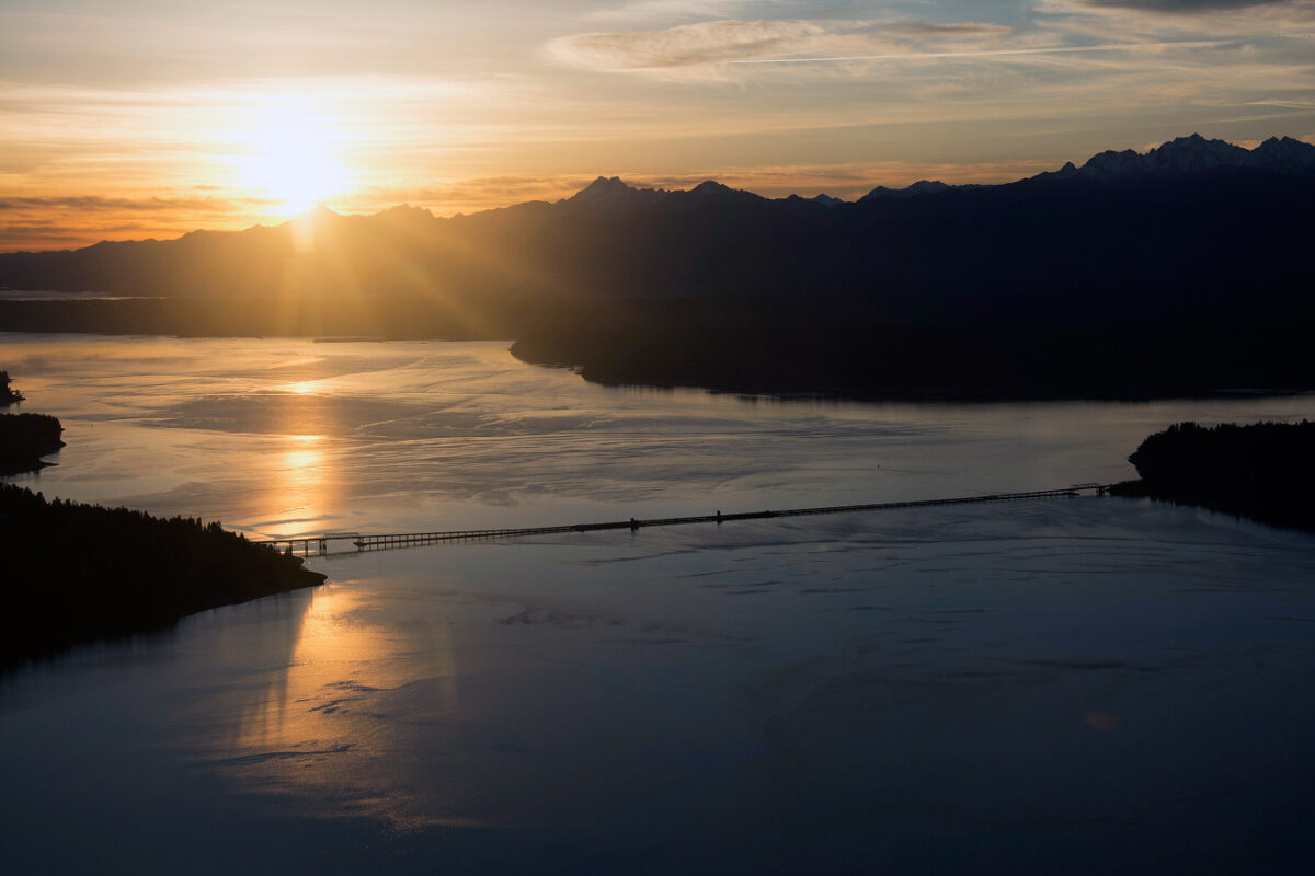 Science Friday: Update on the Hood Canal bridge and survival of ...