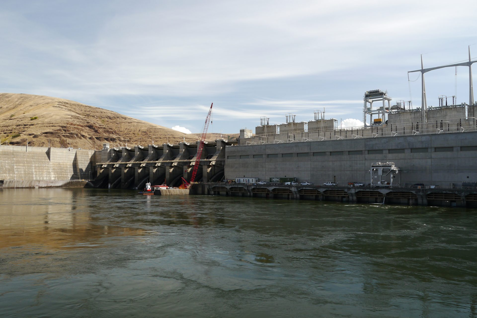 The science is clear: Snake River dams kill too many fish | Wild ...