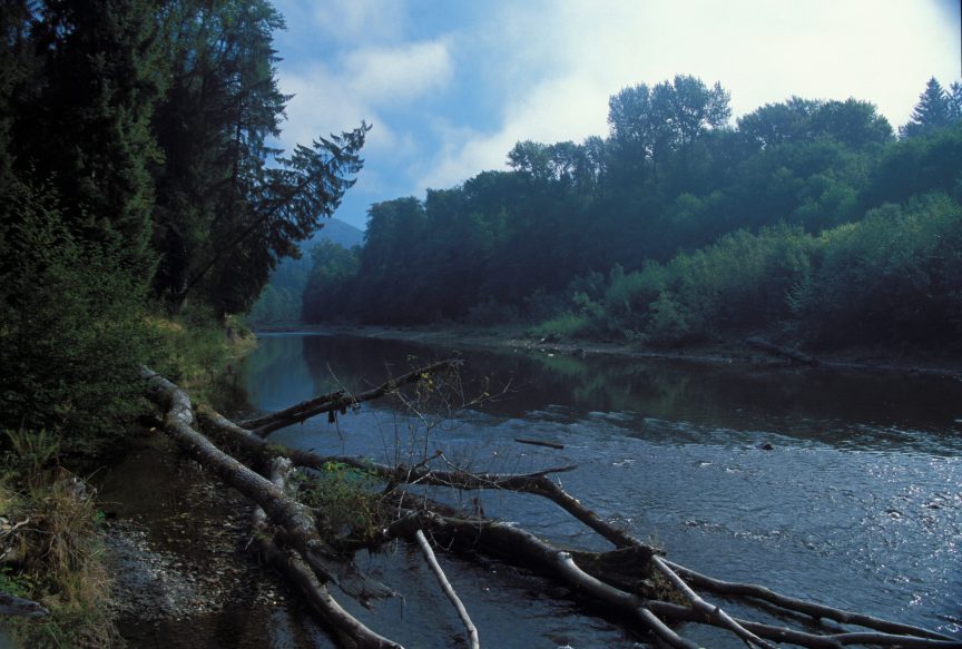 Field Day Friday: A heat blast for young-of-year steelhead | Wild ...