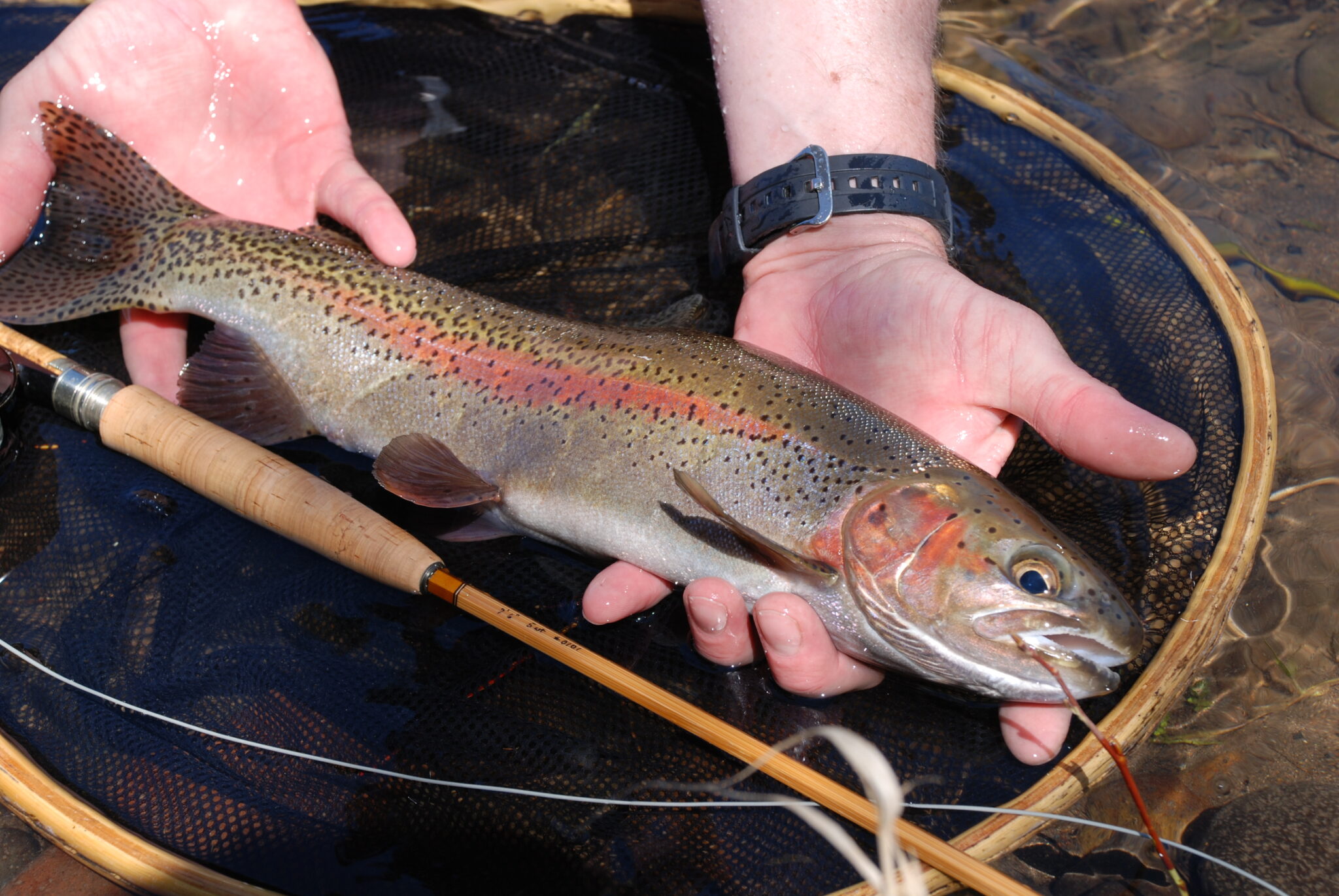 The River Democracy Act brings crucial protections for the overall ...