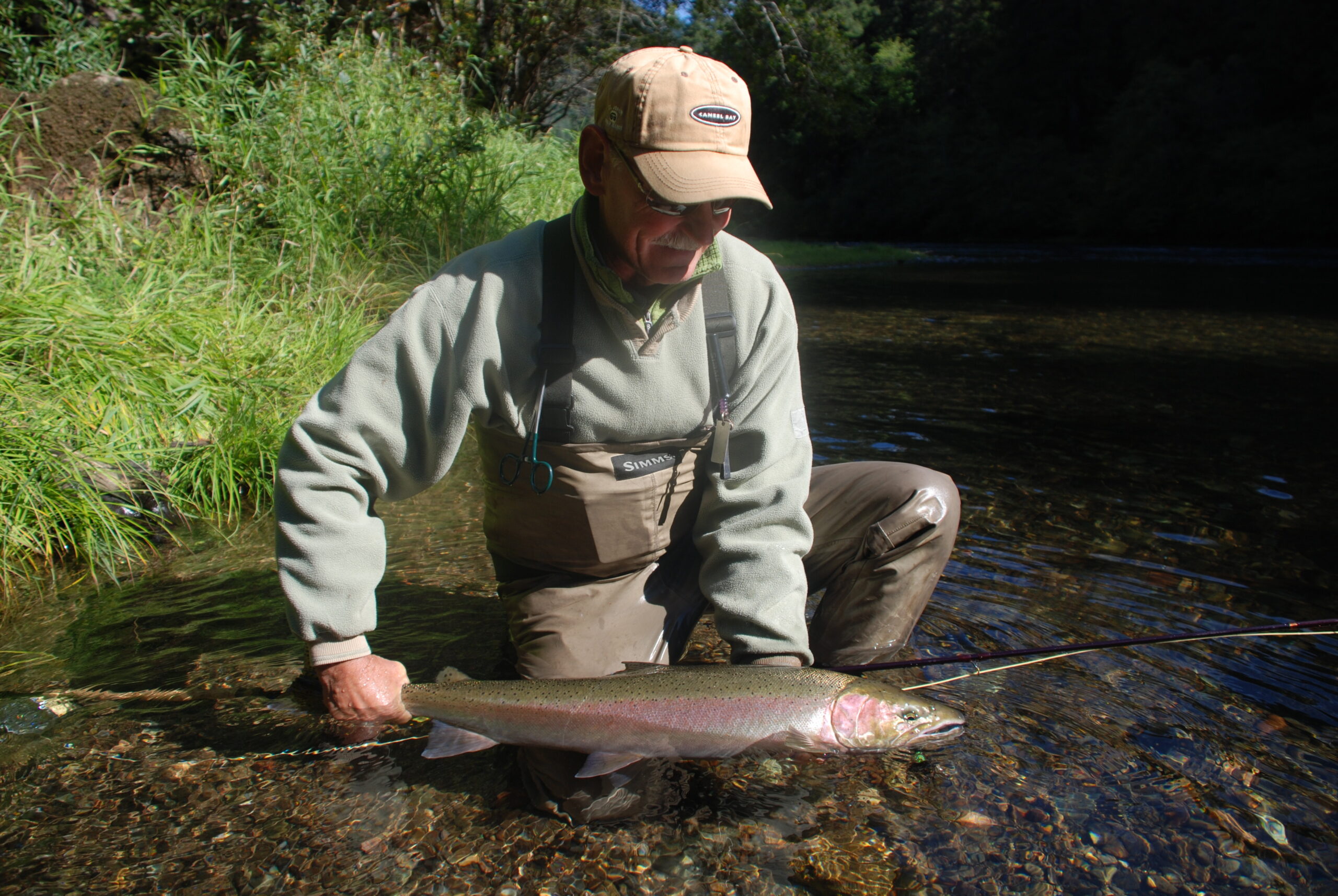 Speak up for North Umpqua wild steelhead | Wild Steelheaders United