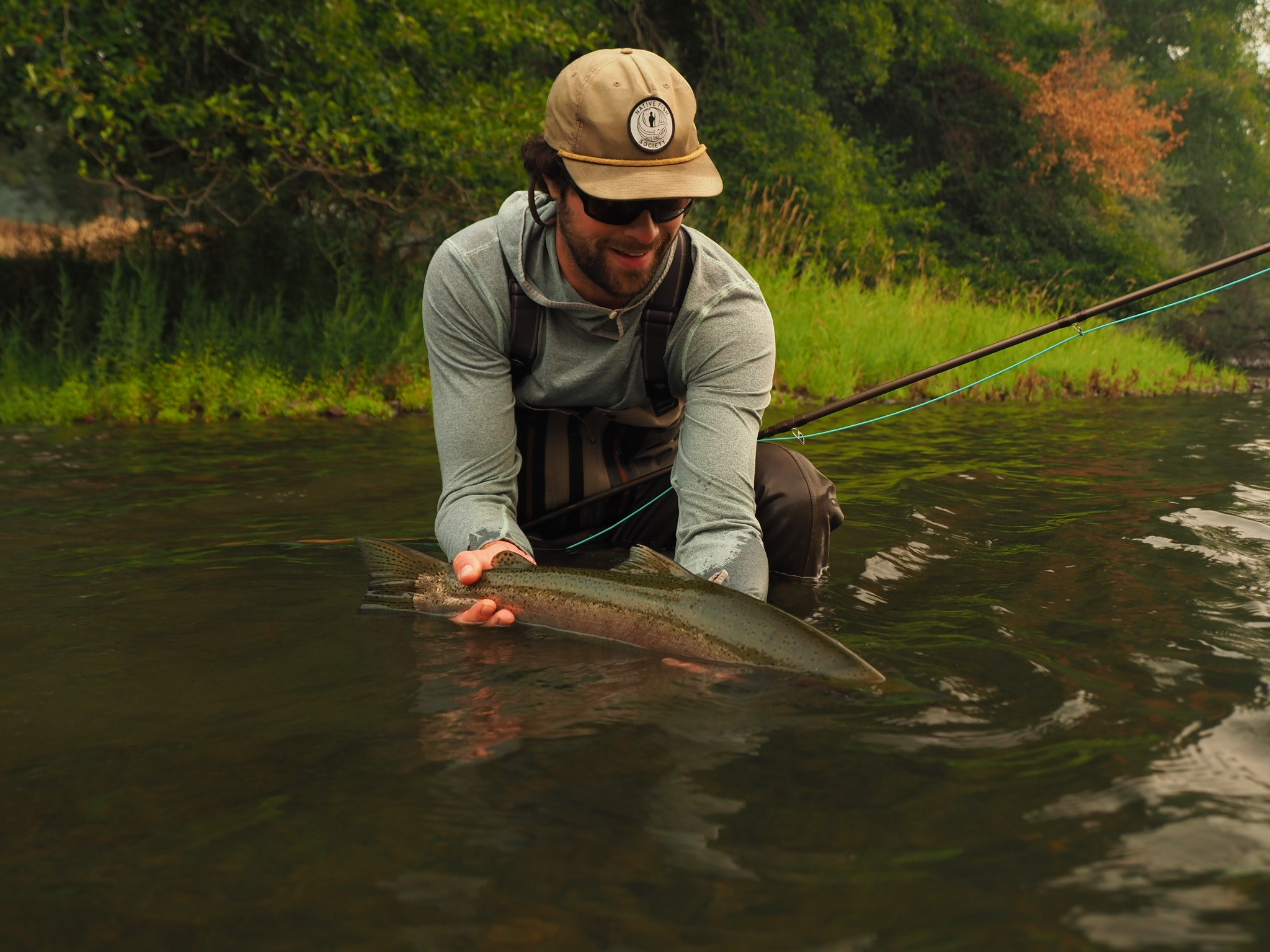 The Biology of Harvest | Wild Steelheaders United