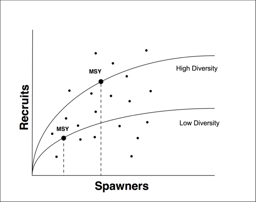 What Is a Stock-Recruit Model? And Why You Should Care | Wild ...