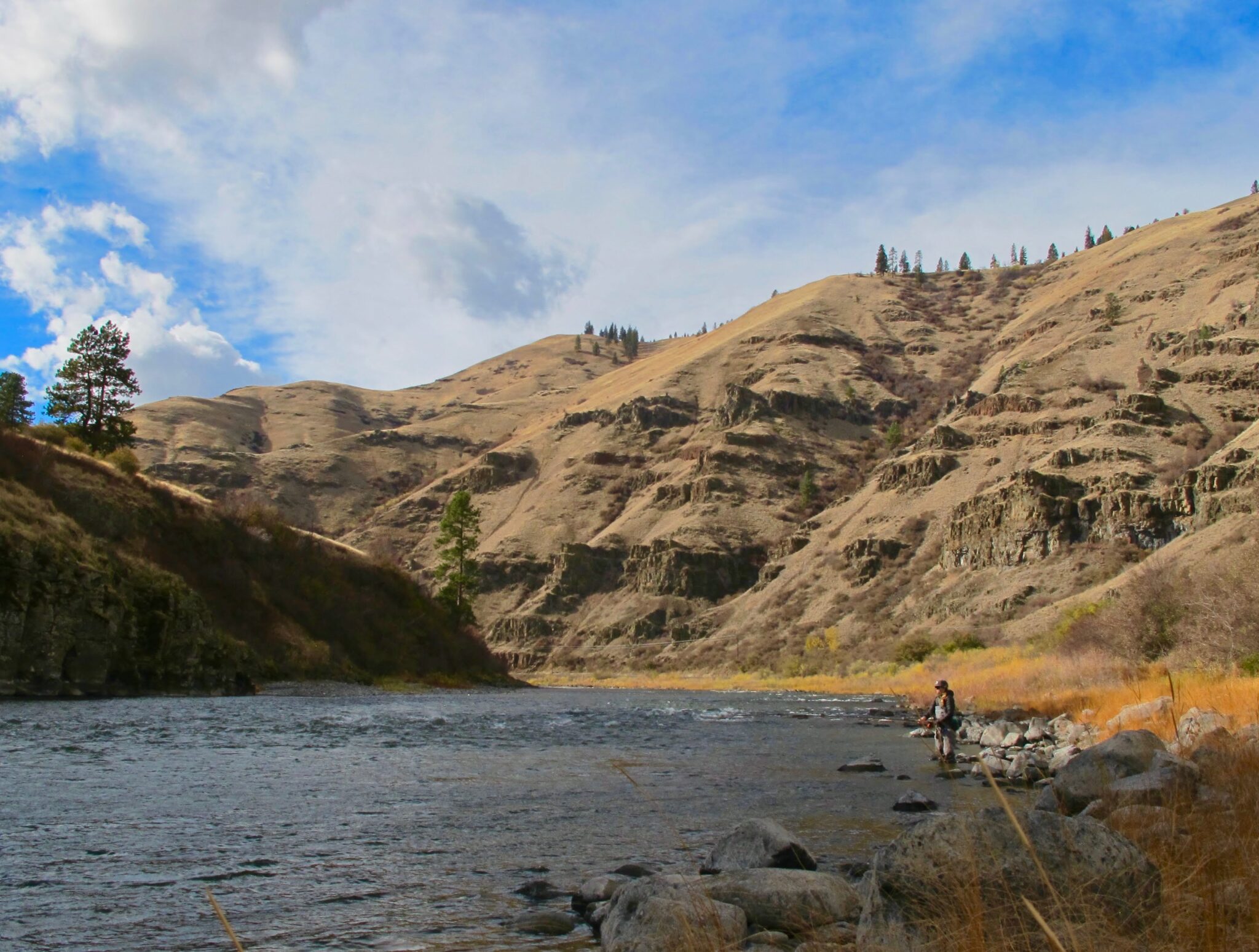 A personal reckoning with the state of steelhead | Wild Steelheaders United
