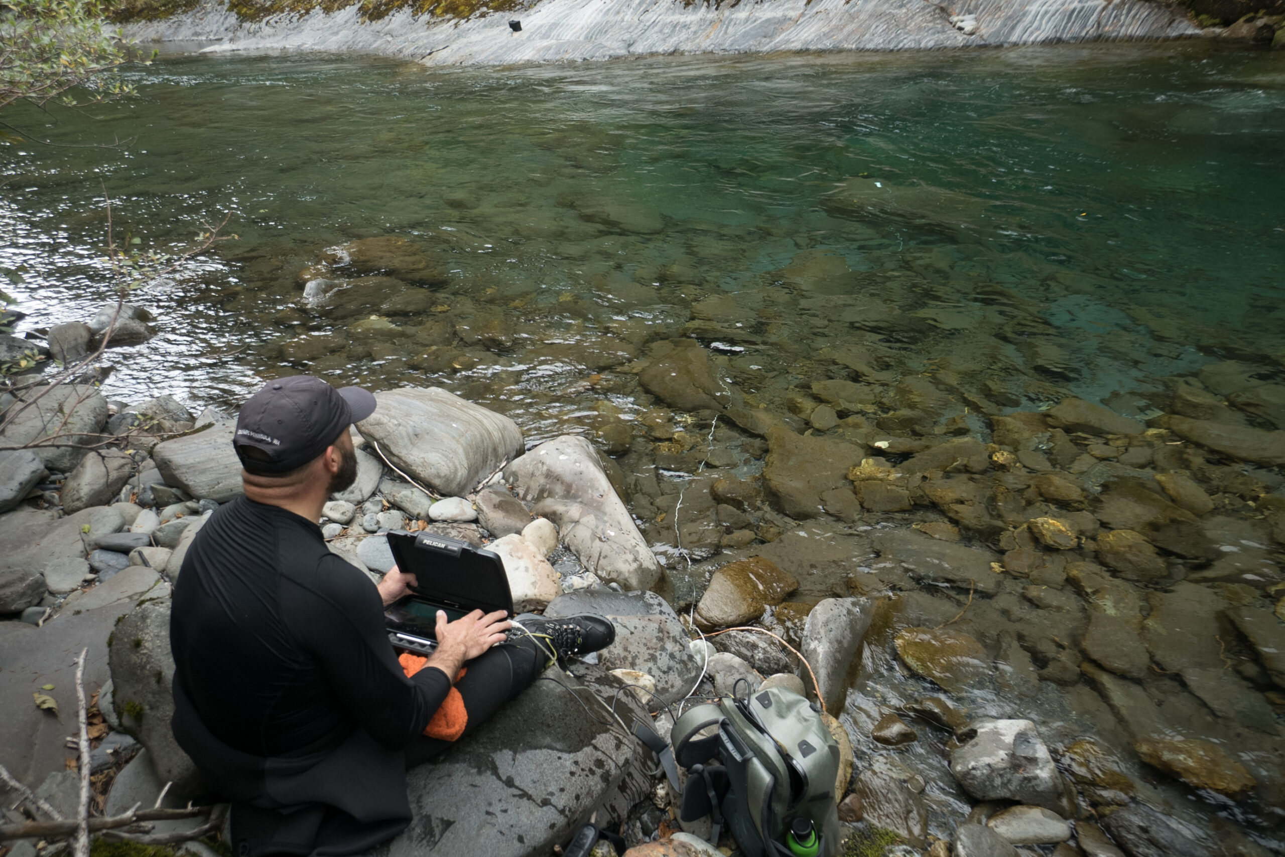 Seven years of science, advocacy, and marching with the steelhead army ...