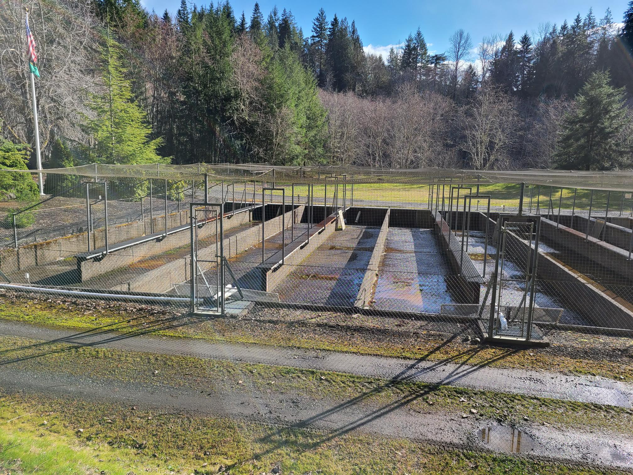 A WDFW Internal Evaluation of Coastal Steelhead Hatchery Programs ...