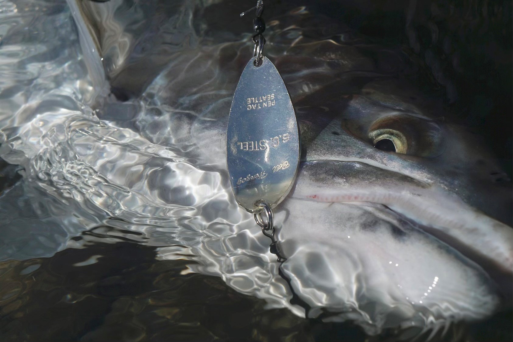 A Wake-Up Call for the Washington Coast | Wild Steelheaders United