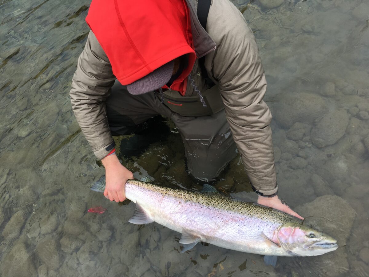 Meet The Team: Greg Fitz | Wild Steelheaders United