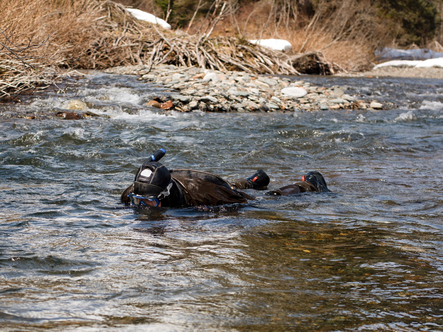 Ghosts of the Spring: Alaska Edition | Wild Steelheaders United