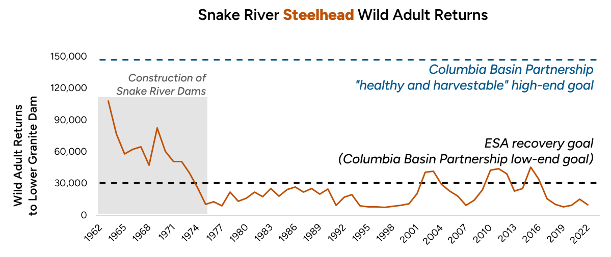 Steelhead and Salmon Recovery Must be Built on Ambitious, Achievable ...