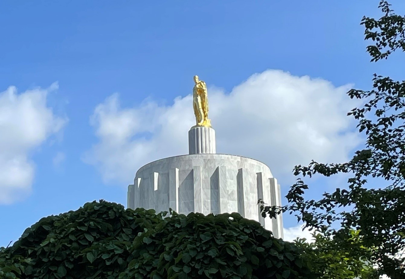 Legislative Summary: Oregon’s 2023 Legislative Session | Wild ... Legislative Summary: Oregon’s 2023 Legislative Session | Wild ...