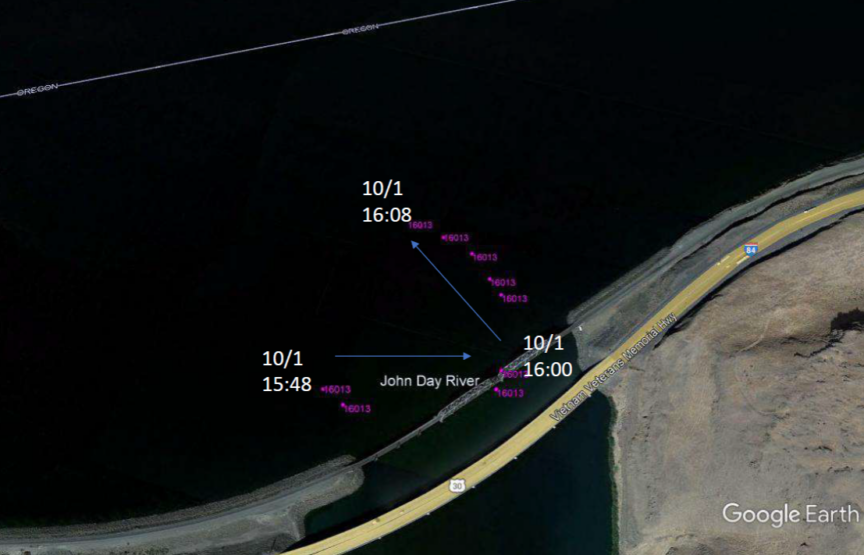John Day Steelhead Project continues to address overshoot | Wild ...