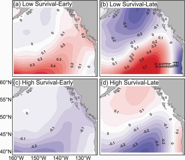El Niño is Coming: What Does it Mean for Steelhead? | Wild Steelheaders ...