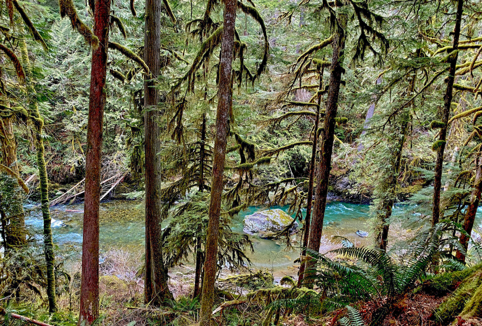 Trout Unlimited Priority Waters: Steelhead Country | Wild Steelheaders ...