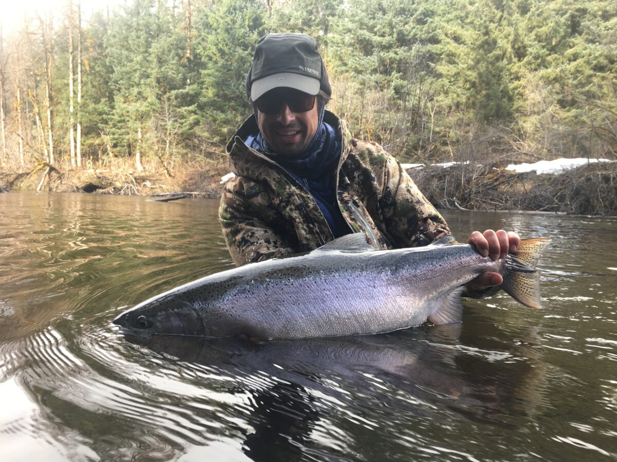 Lessons from Declines in Chinook Productivity | Wild Steelheaders United