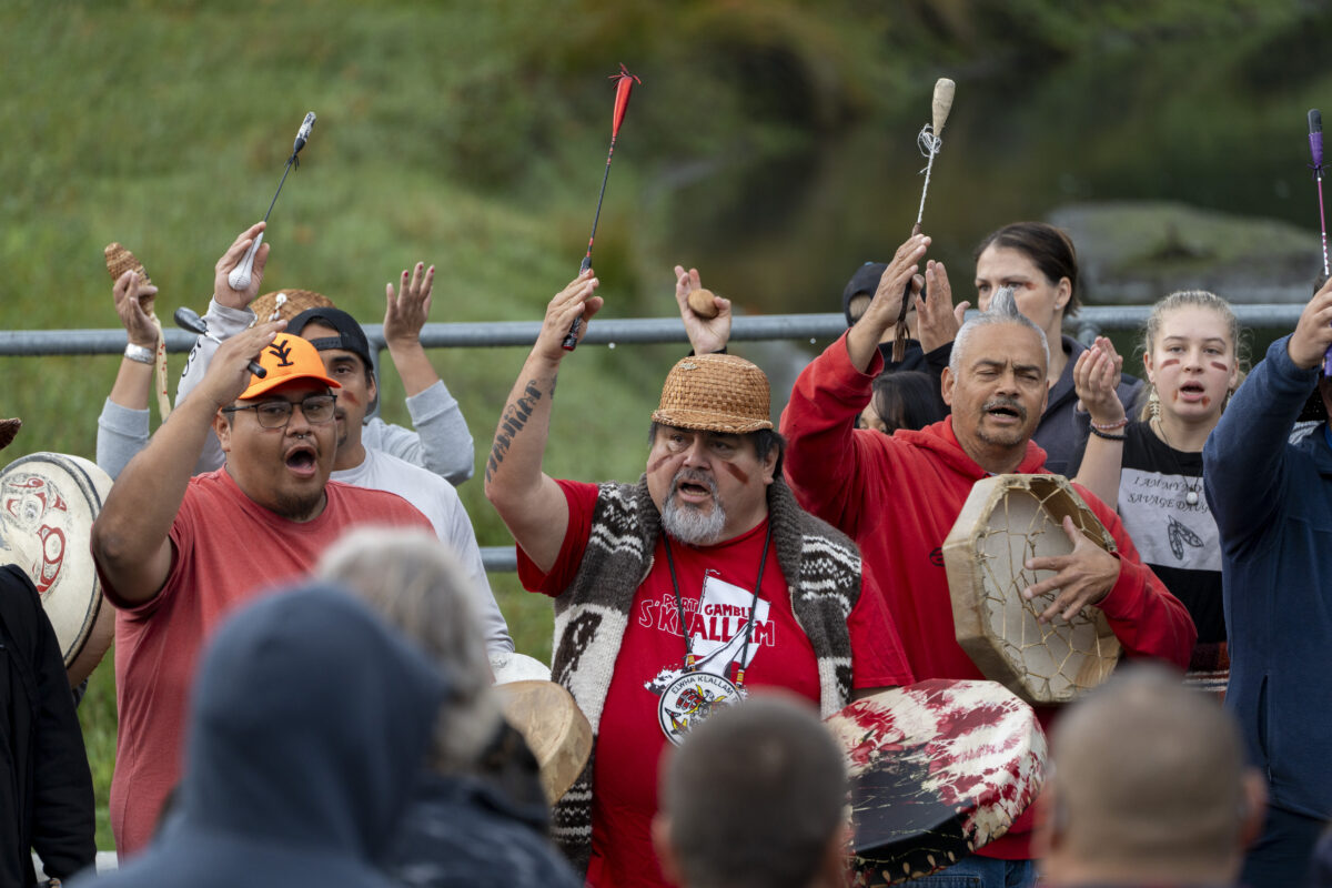 A Watershed Moment on the Elwha River | Wild Steelheaders United