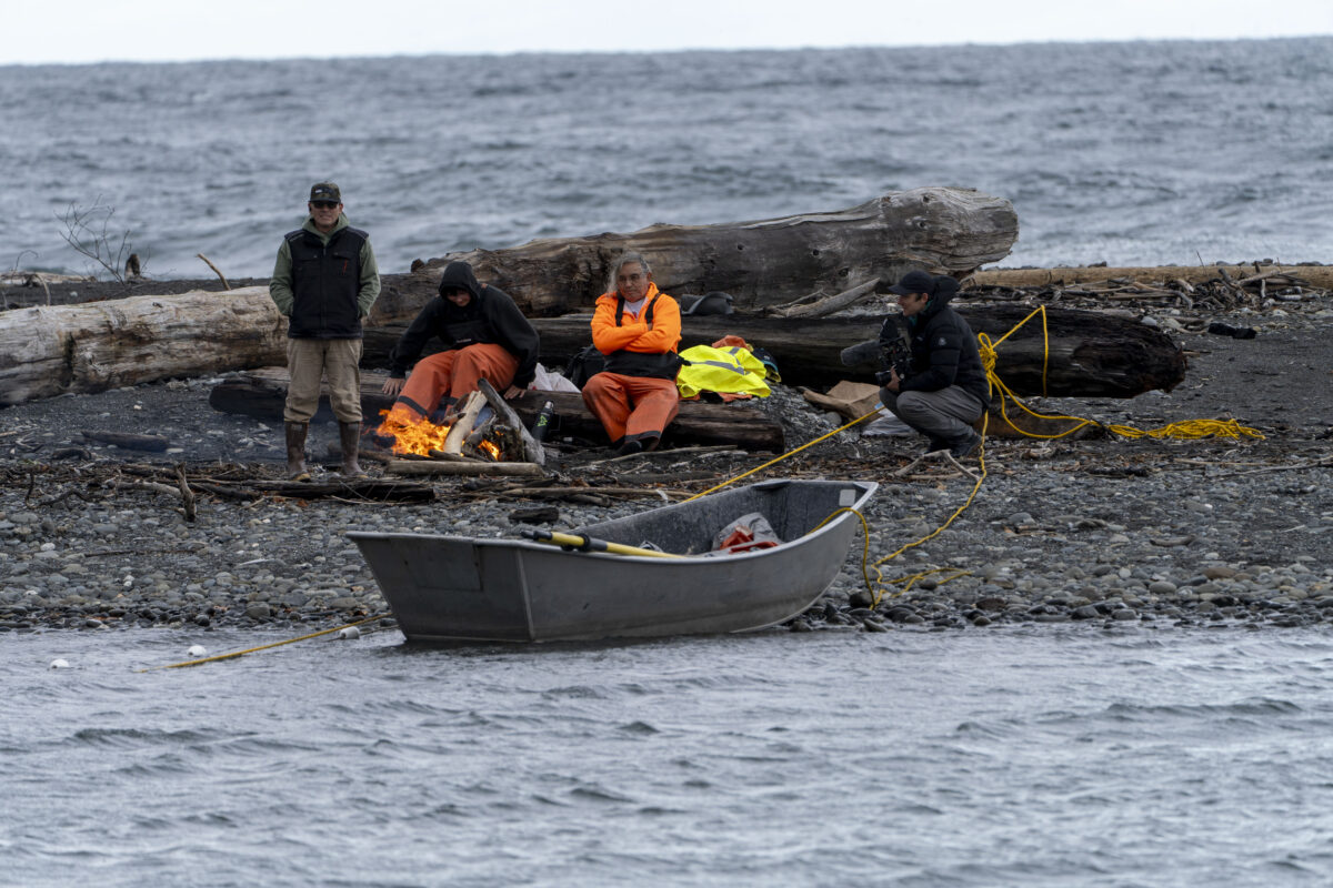 A Watershed Moment on the Elwha River | Wild Steelheaders United