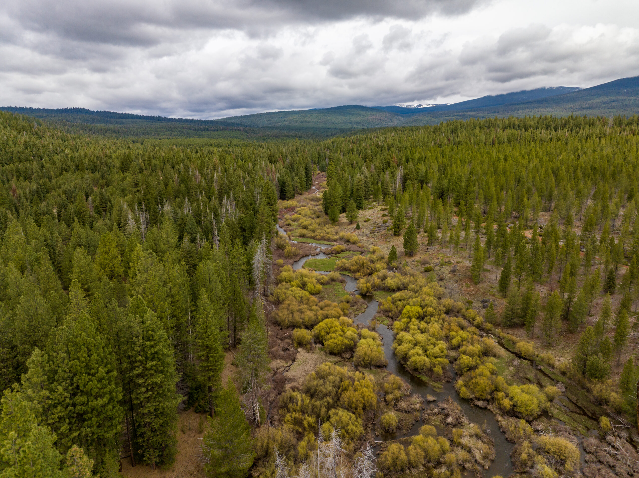 Klamath Fish Reintroduction effort receives additional capacity | Wild ...