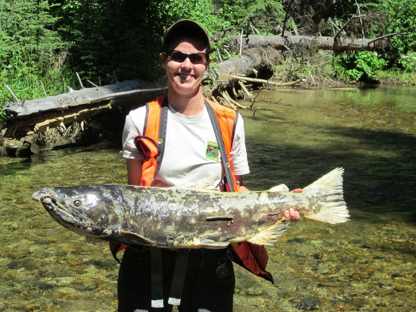 The Value of Monitoring Fish Populations in the John Day Basin | Wild ...