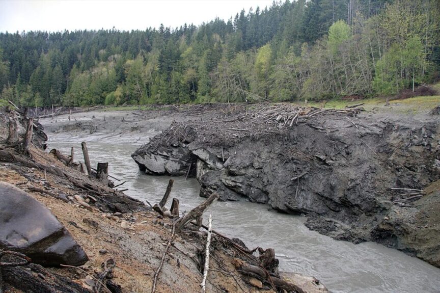 The Elwha River: A wild ride through a decade of dam removal | Wild ...