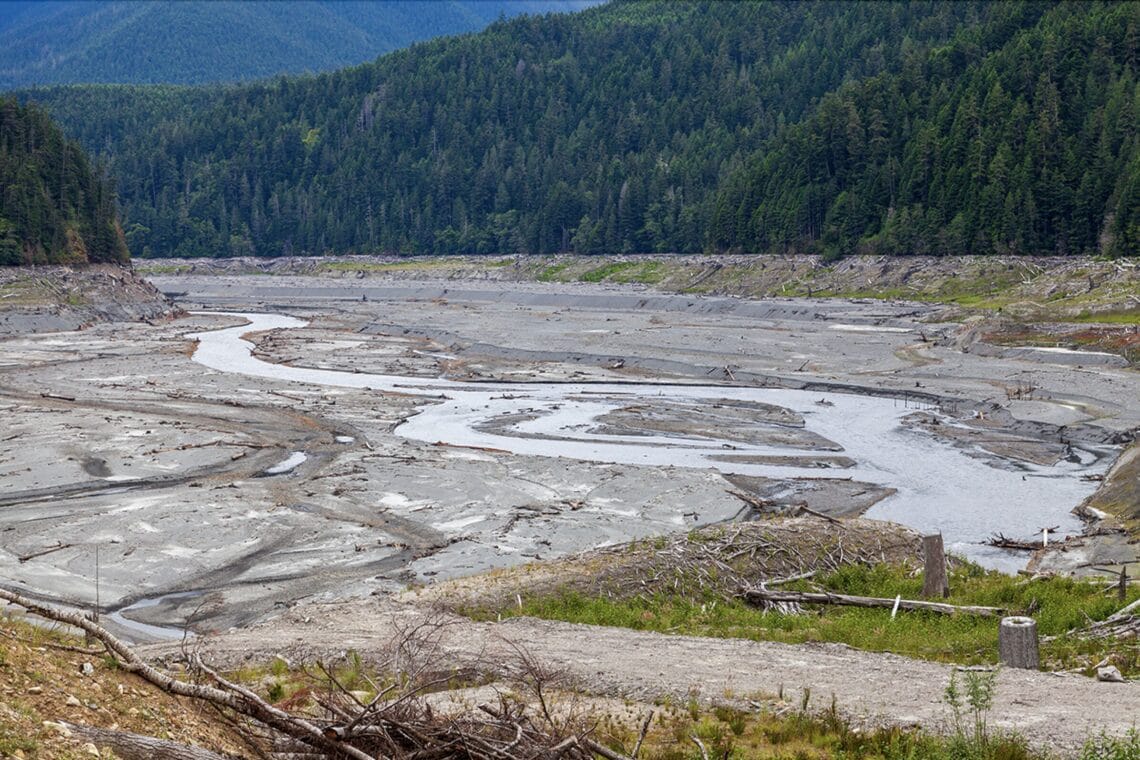 The Elwha River: A wild ride through a decade of dam removal | Wild ...
