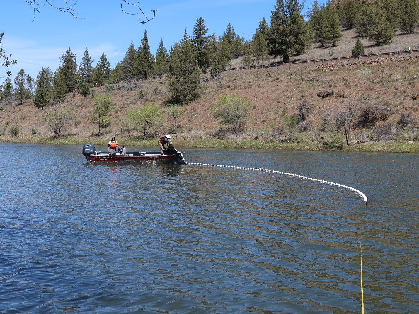 The Value of Monitoring Fish Populations in the John Day Basin | Wild ...