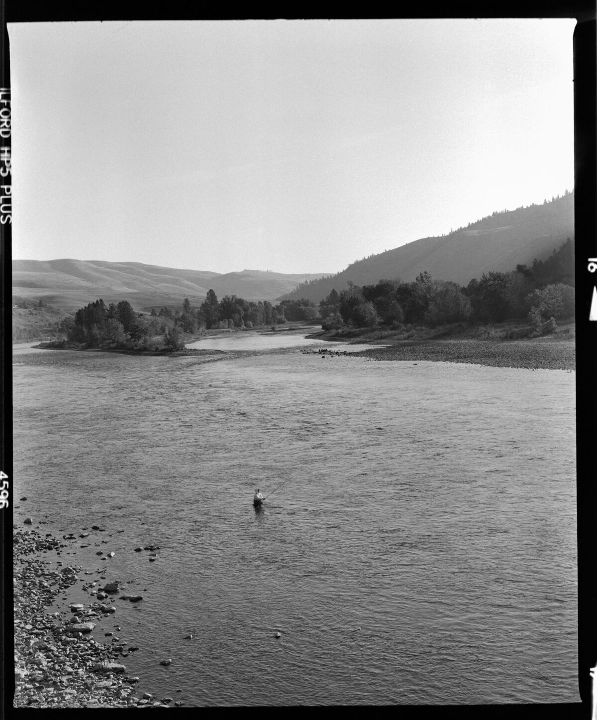 Clearwater Daze | Wild Steelheaders United