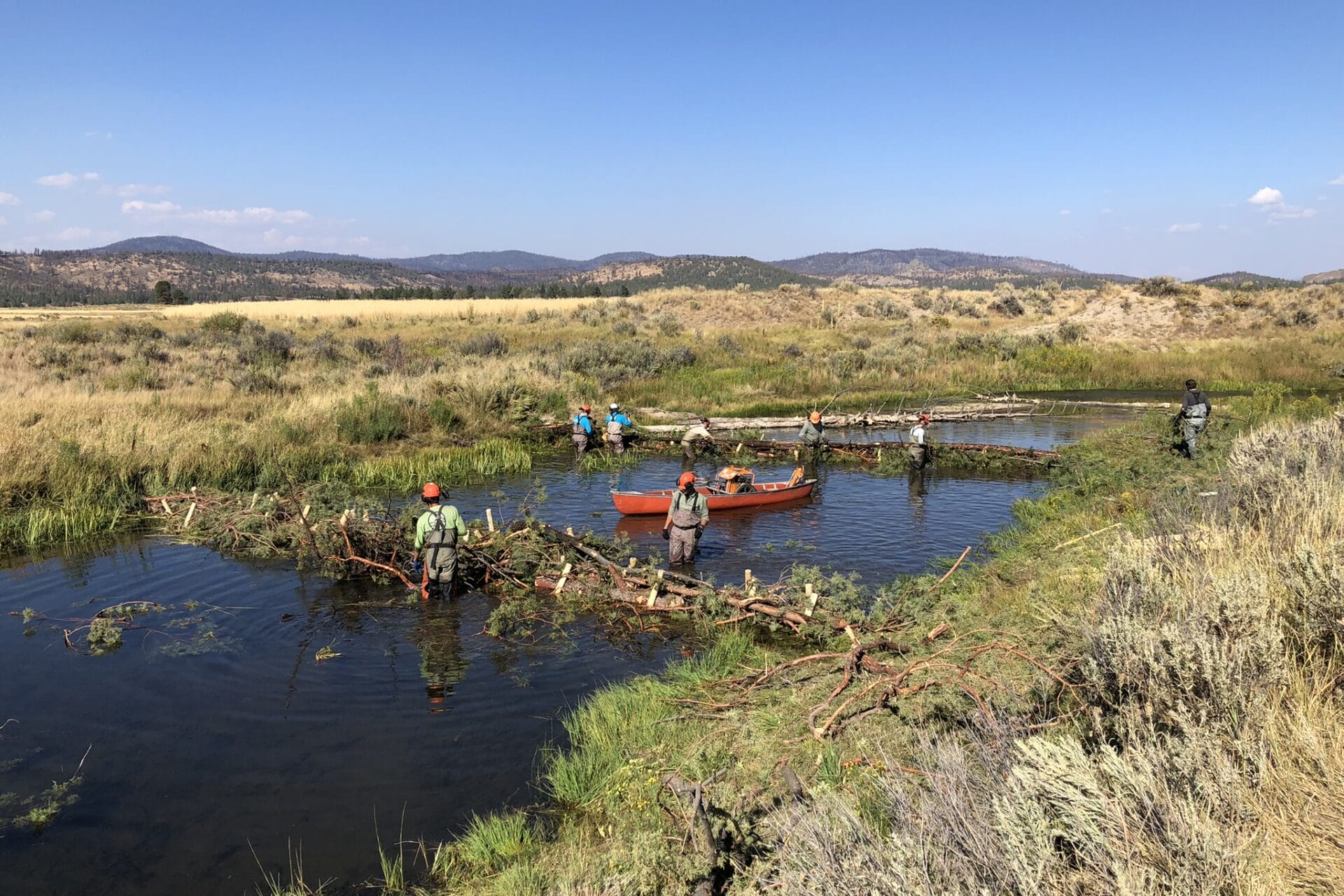 An ongoing commitment to restoring the Upper Klamath | Wild ...