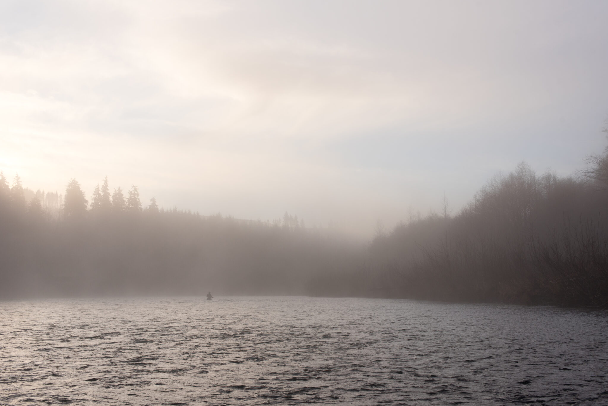 What Should Come Next for Washington’s Wild Steelhead? | Wild ...