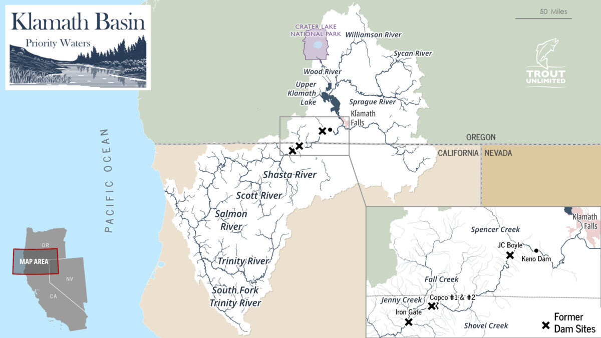 Fish are arriving upstream of the former Klamath dams. What comes next ...